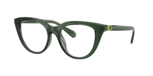 SWAROVSKI Optical Frame Sk2052 - Transparent Green
