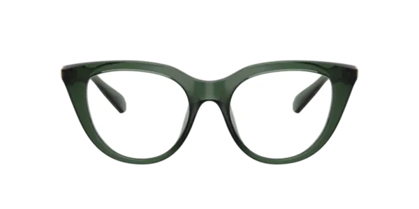 SWAROVSKI Optical Frame Sk2052 - Transparent Green