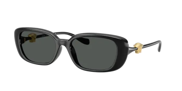 Versace Pillow Frame Sunglasses - Black