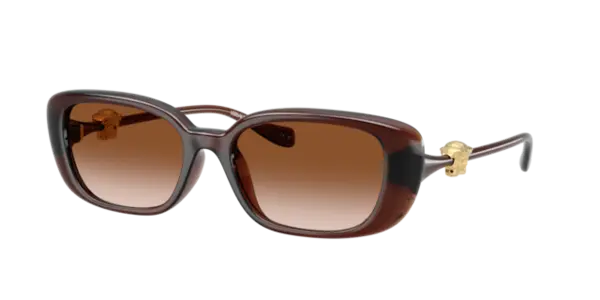 Versace Pillow Frame Sunglasses - Transparent Brown