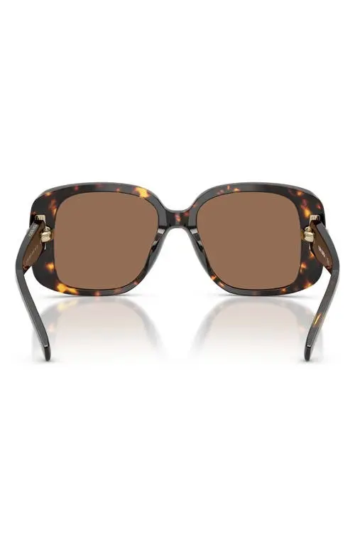 Tory Burch 53mm Gradient Square Sunglasses - Brown Tortoise/brown
