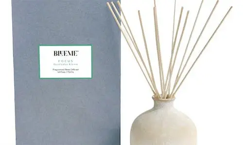 BLUEME Small Ceramic Reed Diffuser - Focus