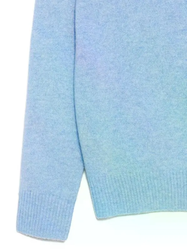 ABSOLUT CASHMERE Cashmere Sweater