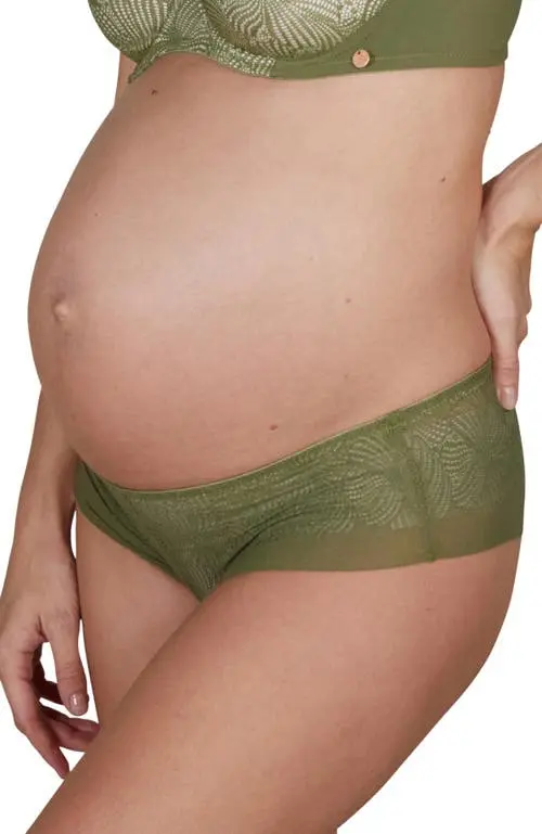 CACHE COEUR Dahlia Maternity Shorty - Khaki