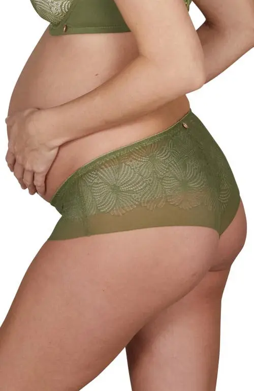 CACHE COEUR Dahlia Maternity Shorty - Khaki