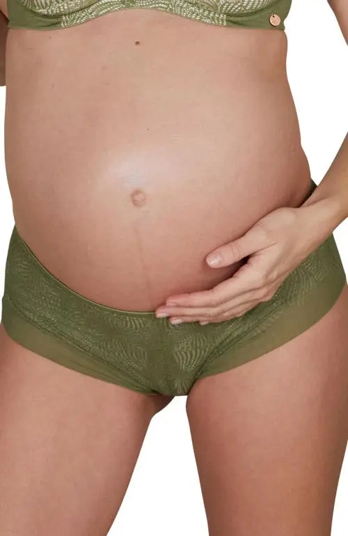 CACHE COEUR Dahlia Maternity Shorty - Khaki