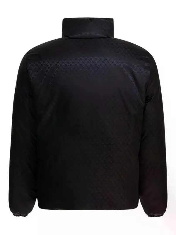 Alexander McQueen Zip-up Padded Jacket