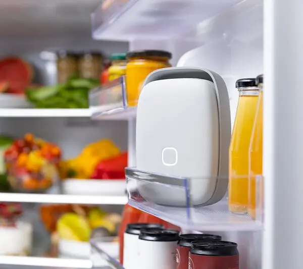 SHELFY Smart Fresh Fridge Air Filter & Deodorizer