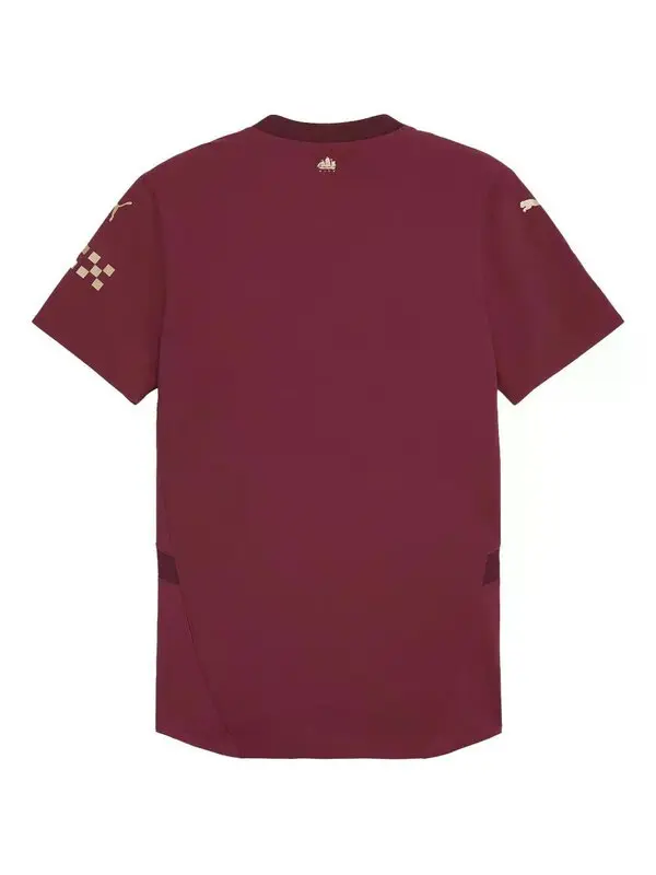 PUMA Manchester City 24/25 T-shirt