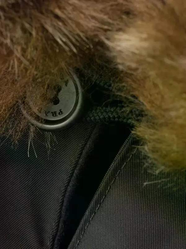 Prada Shearling-trimmed Hood
