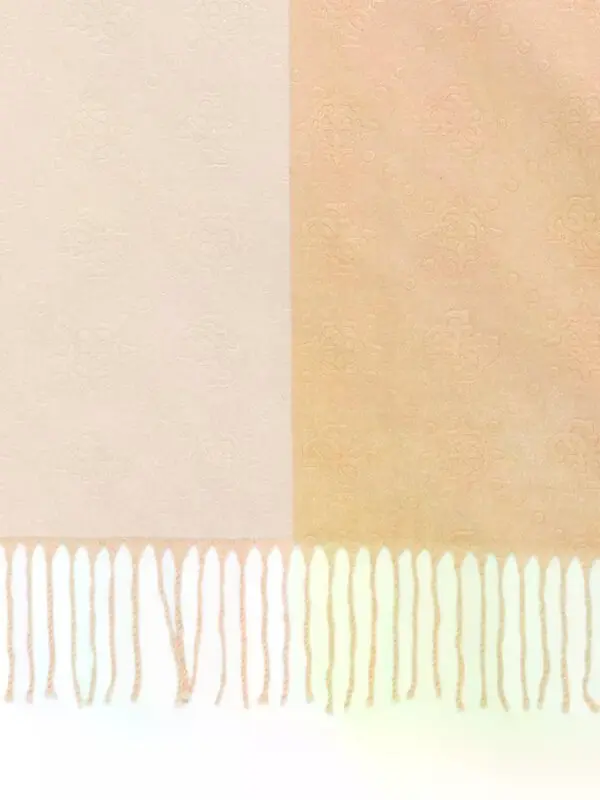 Guess Fringed Two-tone Scarf