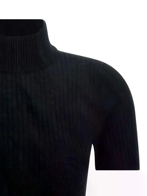 Max Mara Jnagy Ribbed High-neck Sweater