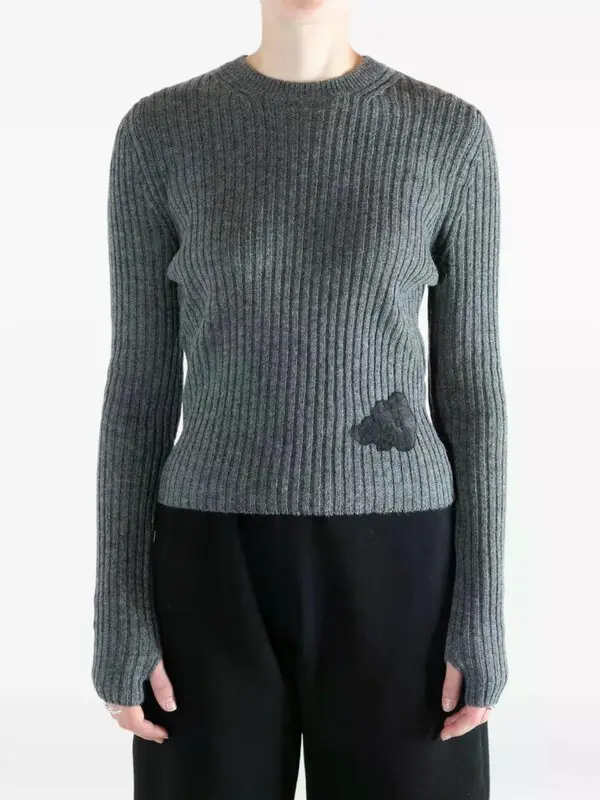 Cecilie Bahnsen Ribbed Appliqué Sweater