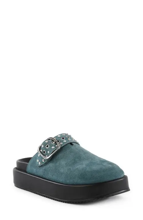 Seychelles Acclaim Clog