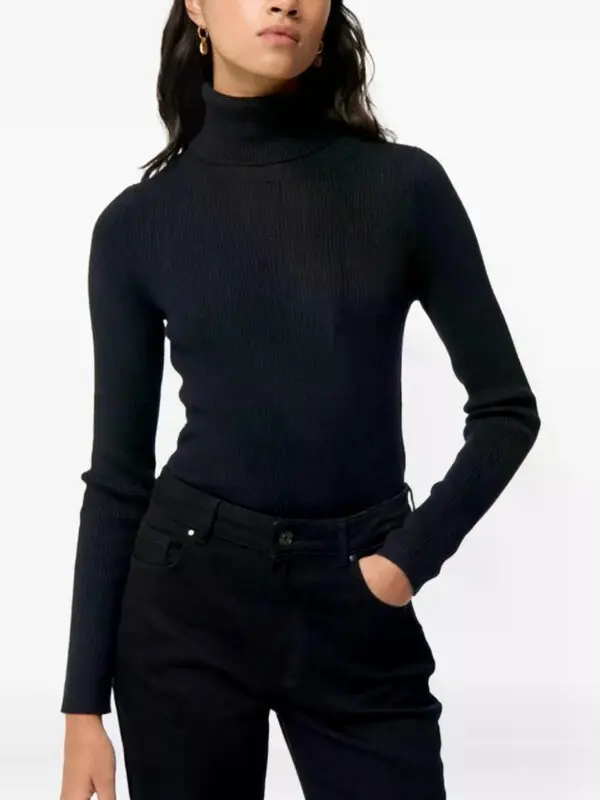 Vanessa Bruno Roll-neck Ribbed Sweater