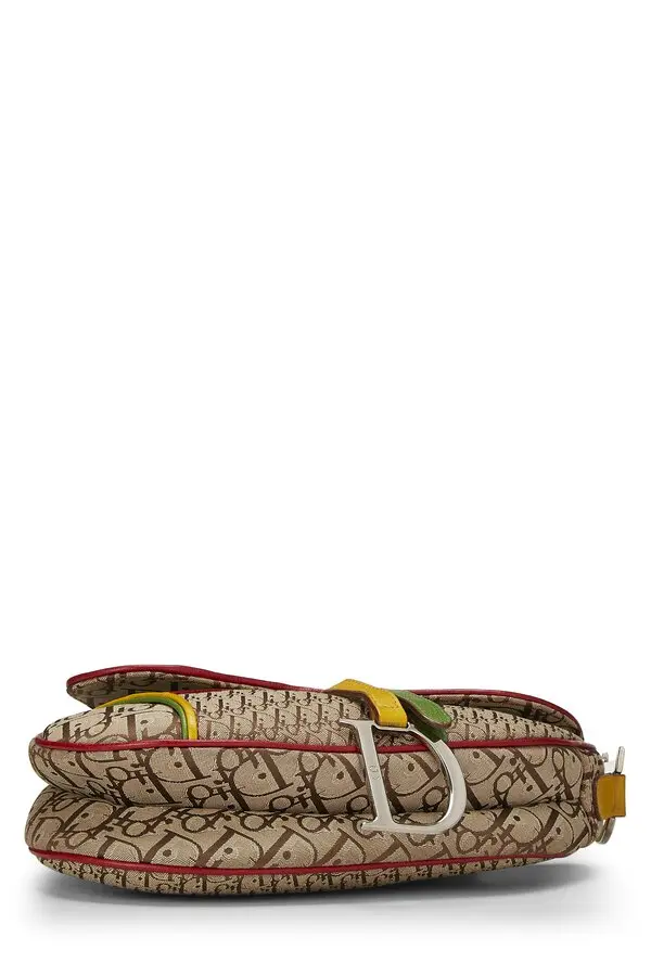 Dior Rasta Saddle Bag
