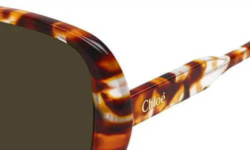 Chloé 55mm Square Sunglasses - Rust Havana