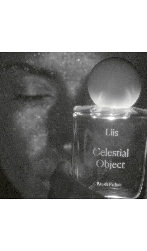 LIIS Celestial Object