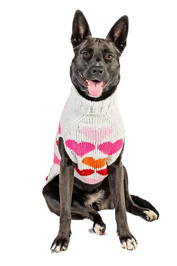 CHILLY DOG Puppy Love Dog Sweater