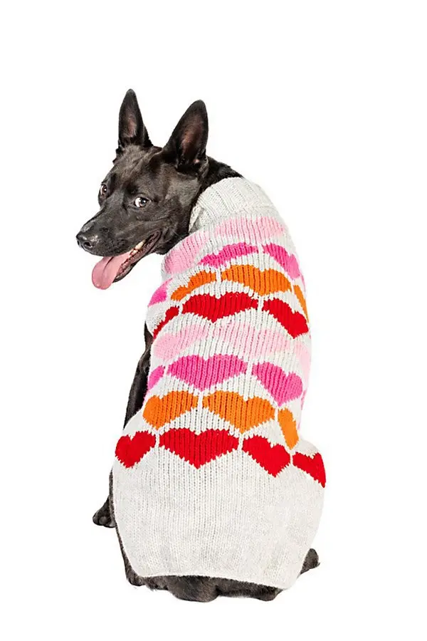 CHILLY DOG Puppy Love Dog Sweater