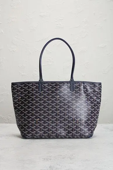Goyard Saint Louis Pm Tote Bag