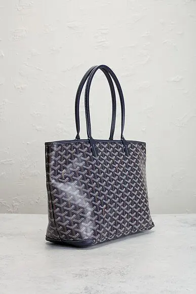Goyard Saint Louis Pm Tote Bag