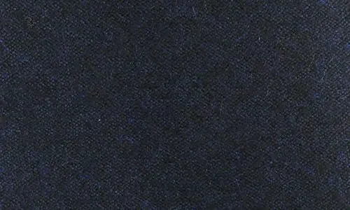 Canali Brushed Wool Tie
