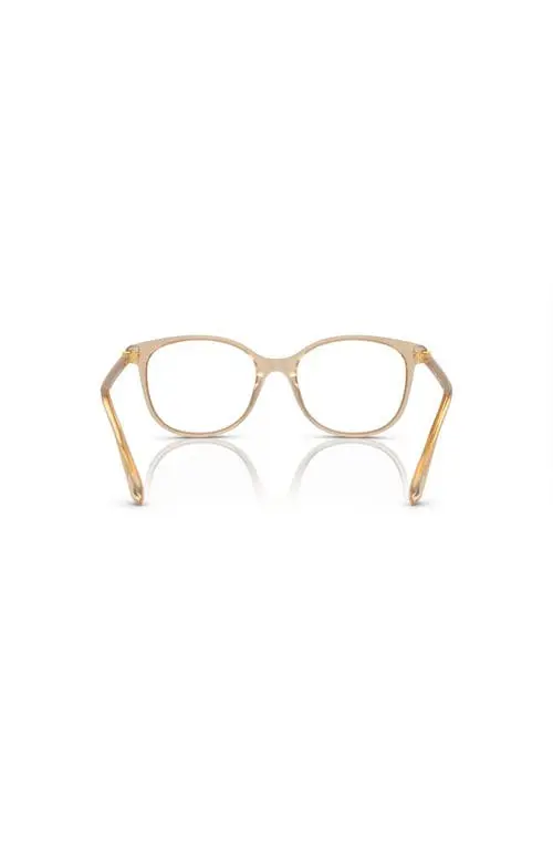 SWAROVSKI Square Acetate Eyeglasses - Brown