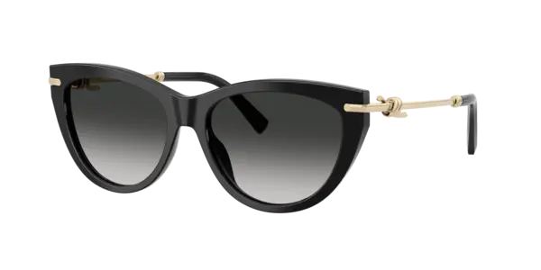 Tiffany & Co. Sunglasses - Grey Gradient
