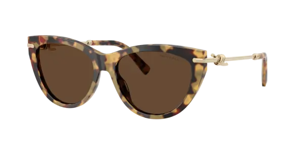 Tiffany & Co. Sunglasses - Light Brown