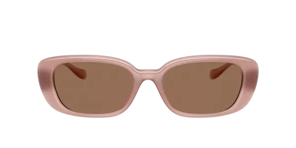 Versace Sunglass Ve4504d - Dark Brown