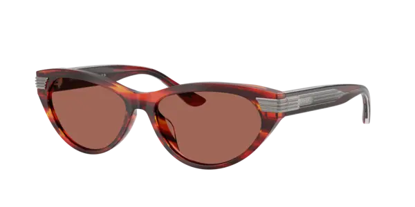 FERRARI Fh2020u Sunglasses - Brown