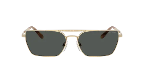 Ralph Lauren Rl7092 Sunglasses - Grey