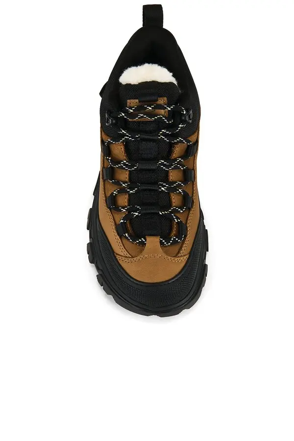 UGG Metrotrek Hiker Sneaker