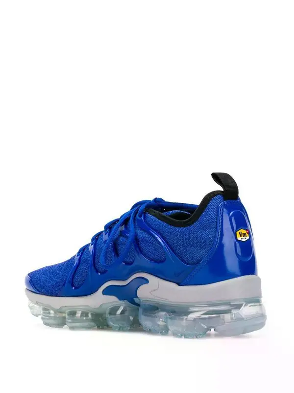 Nike Vapormax Plus Sneakers - Blue