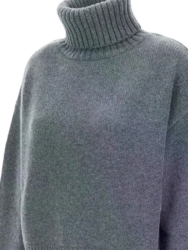 Extreme Cashmere Roll-neck Cashmere Sweater