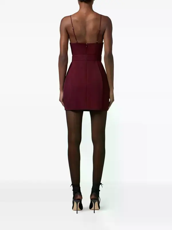 Elisabetta Franchi Lace-detailed Mini Dress