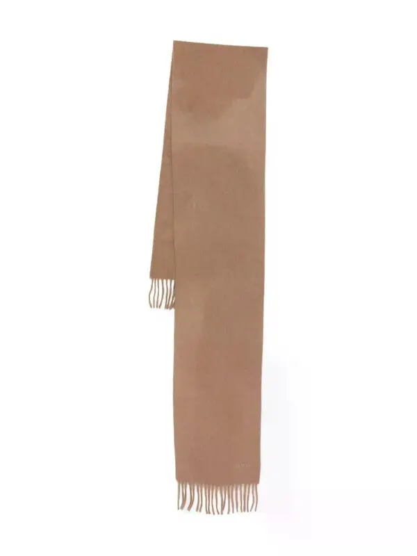 Max Mara Fringed Wool Scarf - Brown
