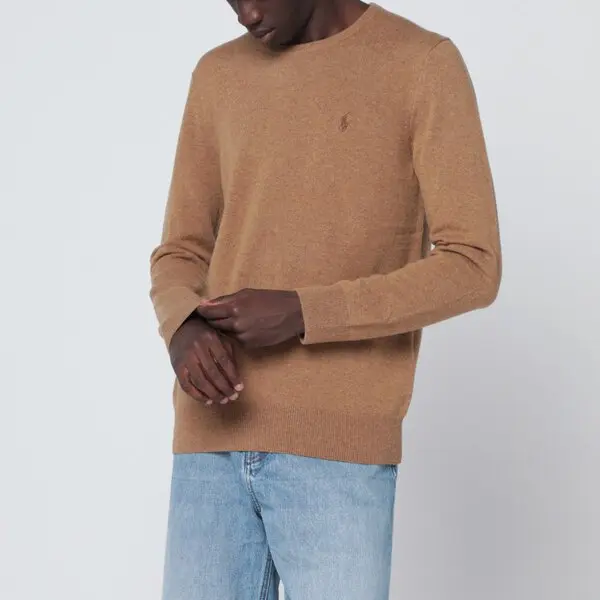 Polo Ralph Lauren Wool Crew Neck Sweater