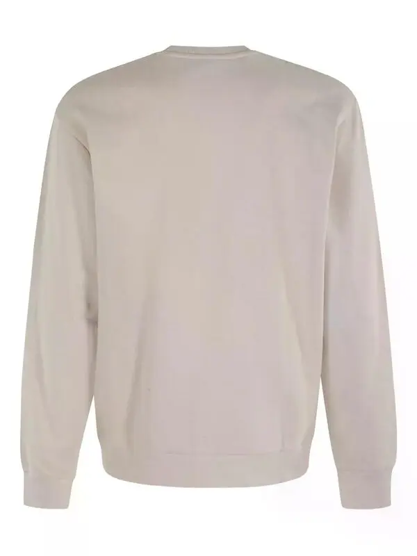 Carhartt Work In Progress Embroidered Logo Sweatshirt - Neutrals