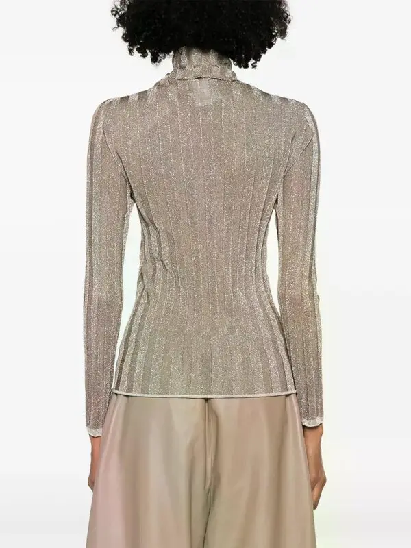 Fabiana Filippi Ribbed Roll-neck Sweater