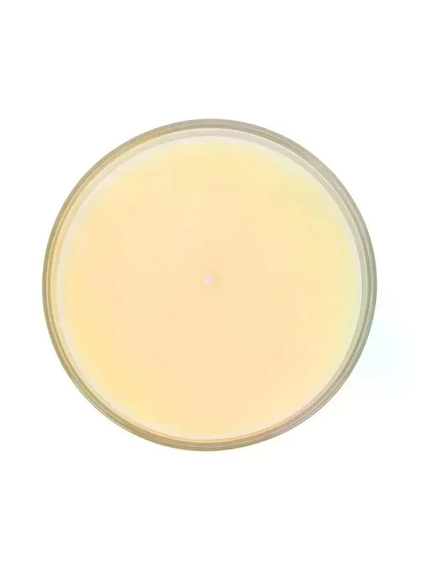 DIPTYQUE Pomander Scented Candle