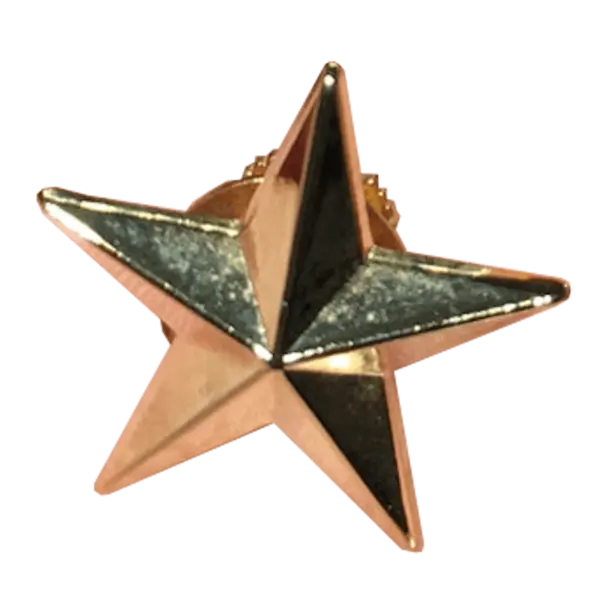 Supreme Star Pin