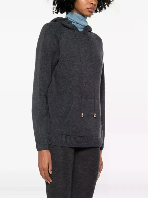 Fabiana Filippi Wool-blend Hoodie