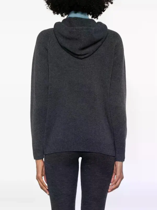 Fabiana Filippi Wool-blend Hoodie