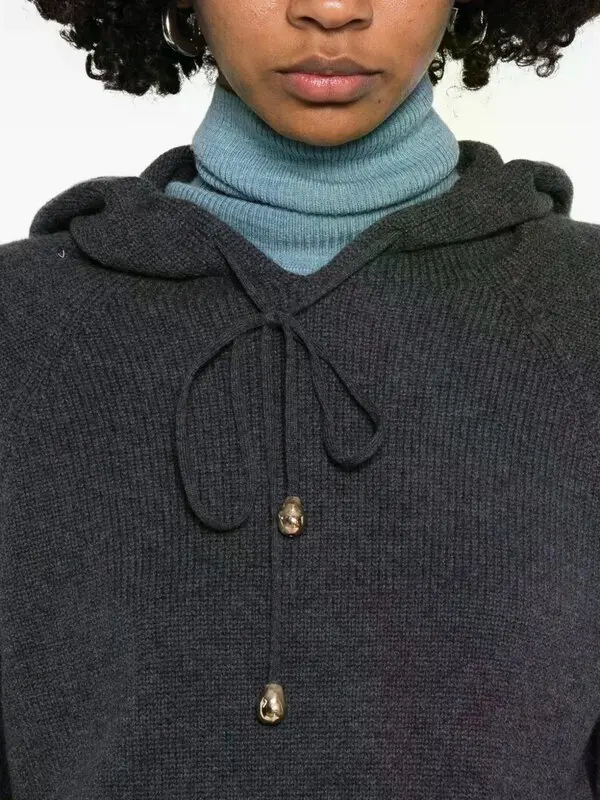 Fabiana Filippi Wool-blend Hoodie