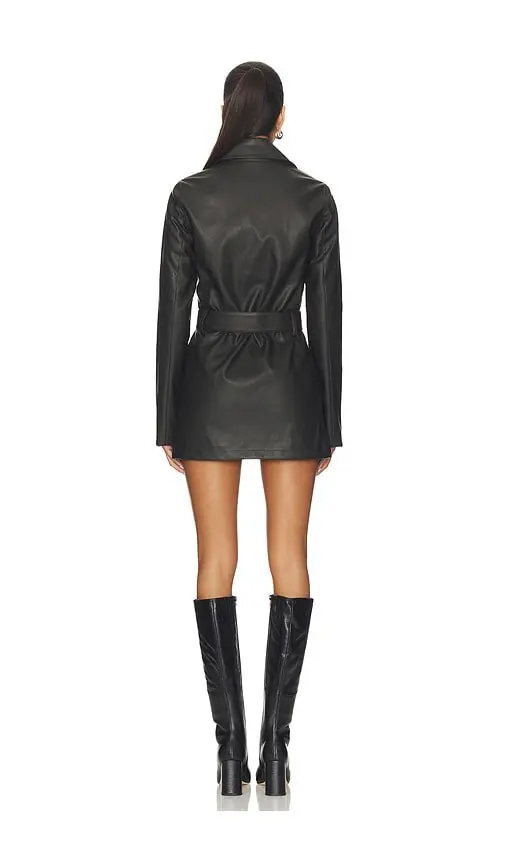 Show Me Your Mumu Stapleton Mini Dress