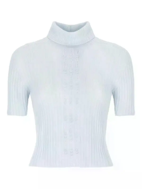 VANISÈ Ribbed Knit Turtleneck Top