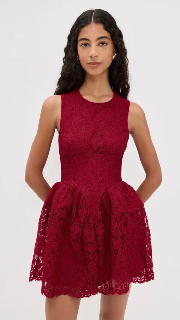 Buy Bardot Luisa Lace Mini Dress - Burgundy At 75% Off | Editorialist