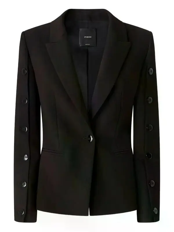 Pinko Buttoned Blazer